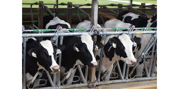 Dairy experts to discuss market outlook | Morning Ag Clips