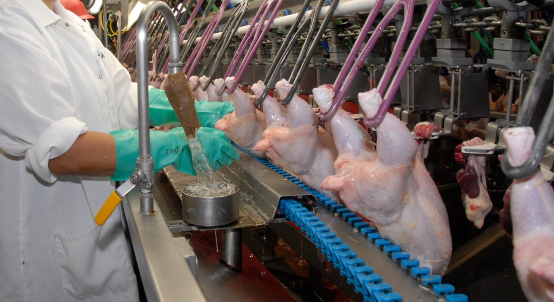Applications now accepted for Poultry Industry Safety Recognition Award ...