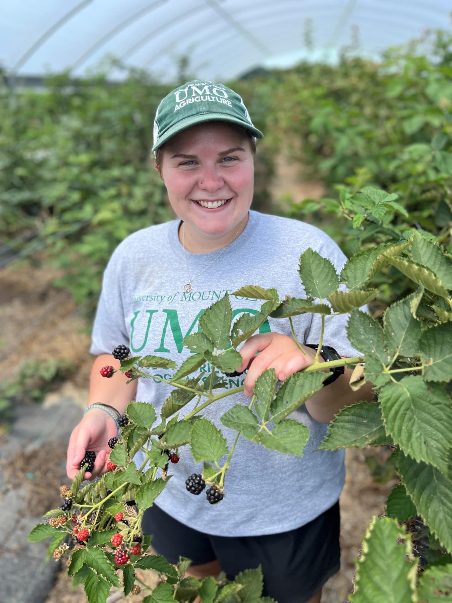 Rocky college start turns into rock-star opportunities for Katie Gates ...