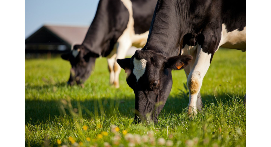 DeLaval Committed to Sustainable Food Production - Morning Ag Clips