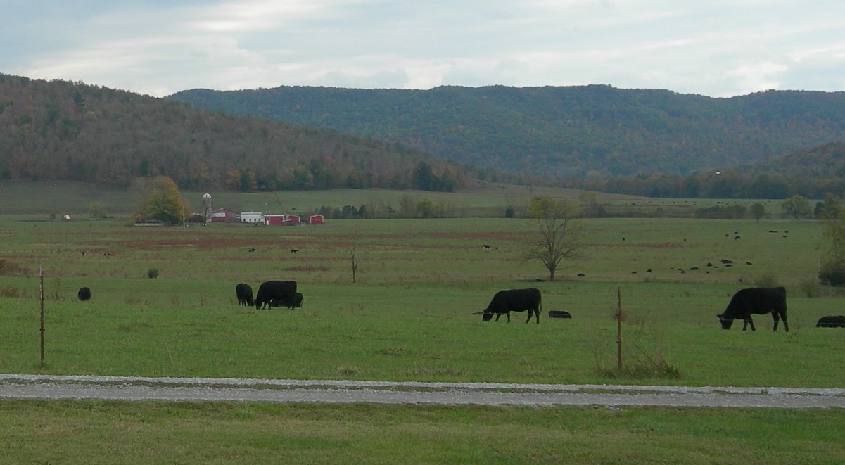 Tennessee farmers have one week left to return the 2022 Census of ...