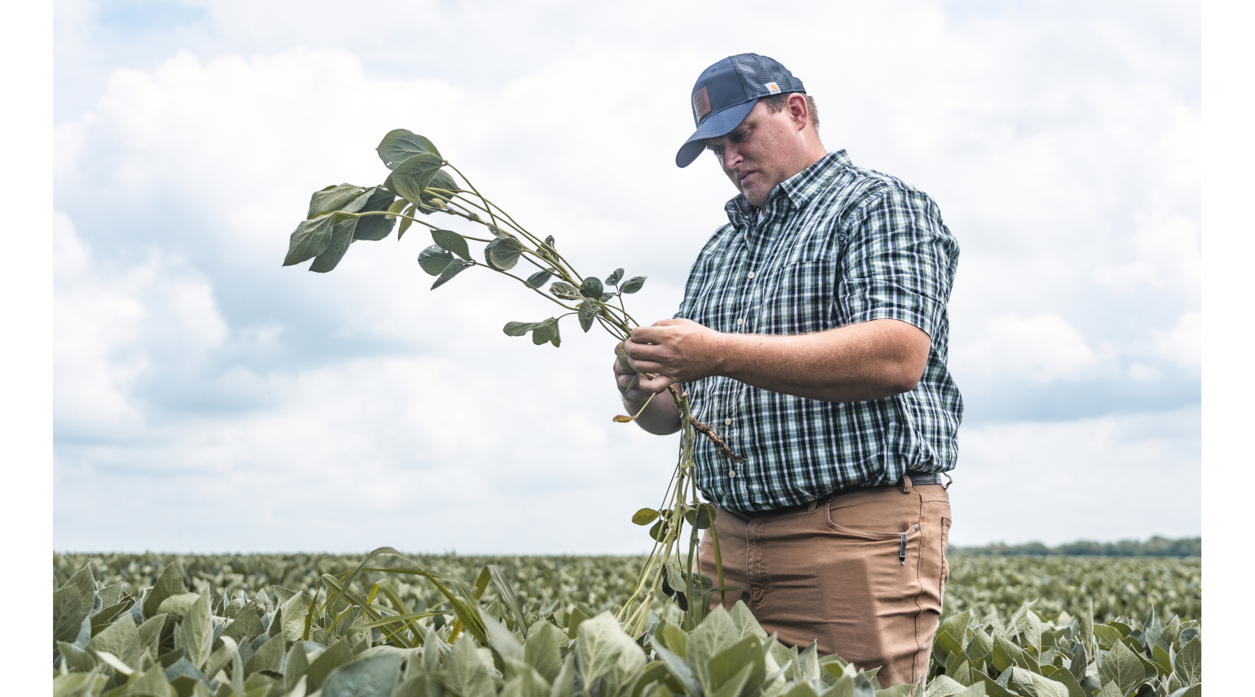 Illinois Agriculture’s 20 Under 40 Award Winners | Morning Ag Clips