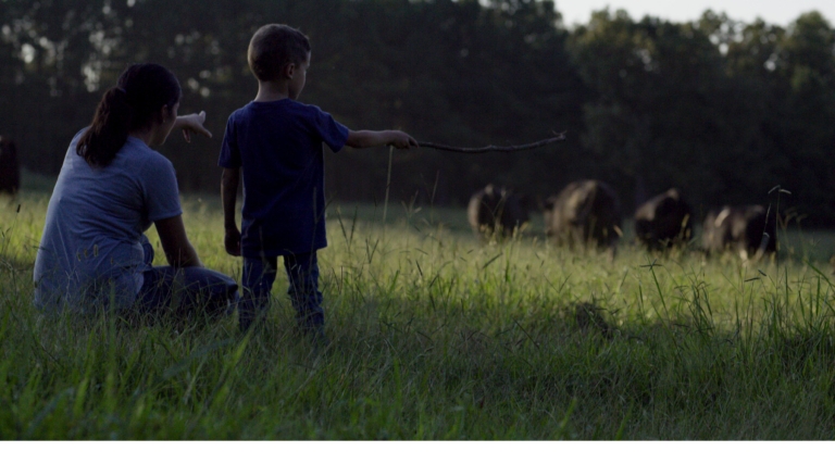 Join the Celebration of May Beef Month in Wisconsin | Morning Ag Clips